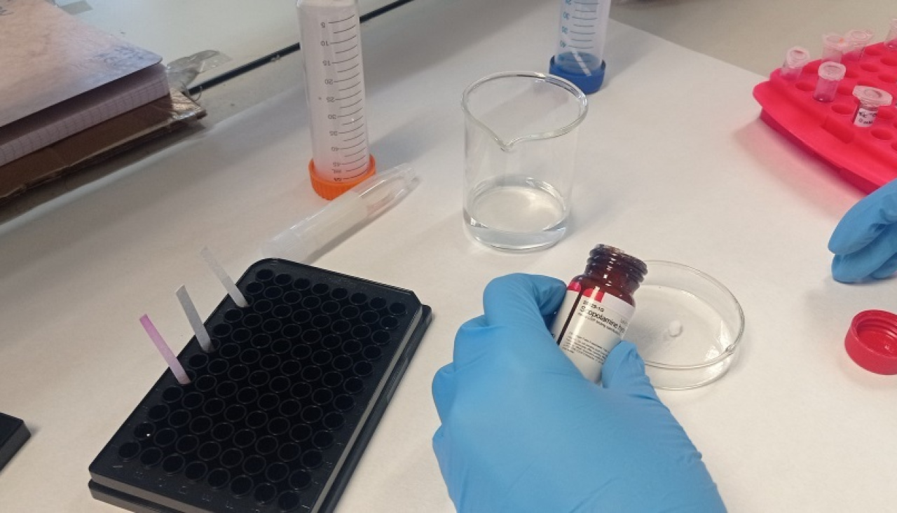 Un nuevo test detecta burundanga y droga caníbal con un móvil y en 15 ...