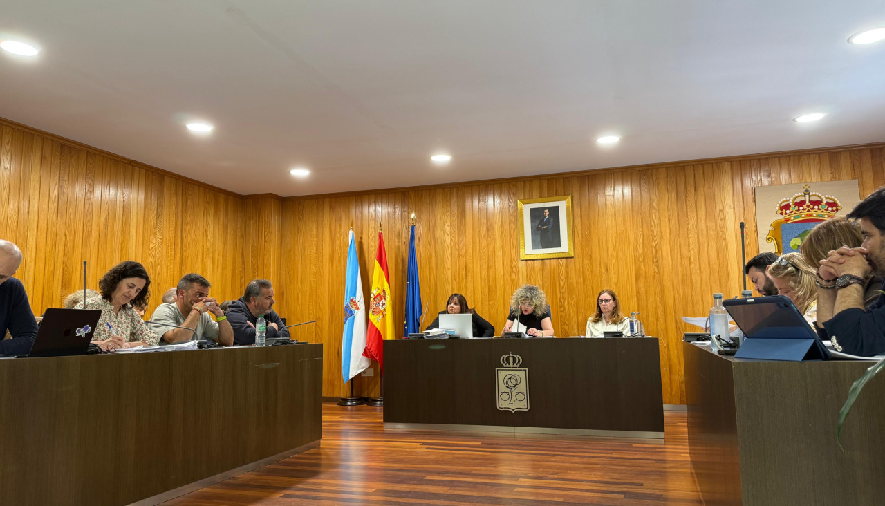 Diana Piñeiro levará por terceira vez ao pleno unha solución para pagar ...