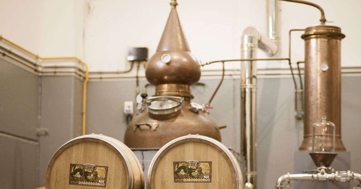 Vánagandr: la ginebra de Cambre que ha conquistado el mundo